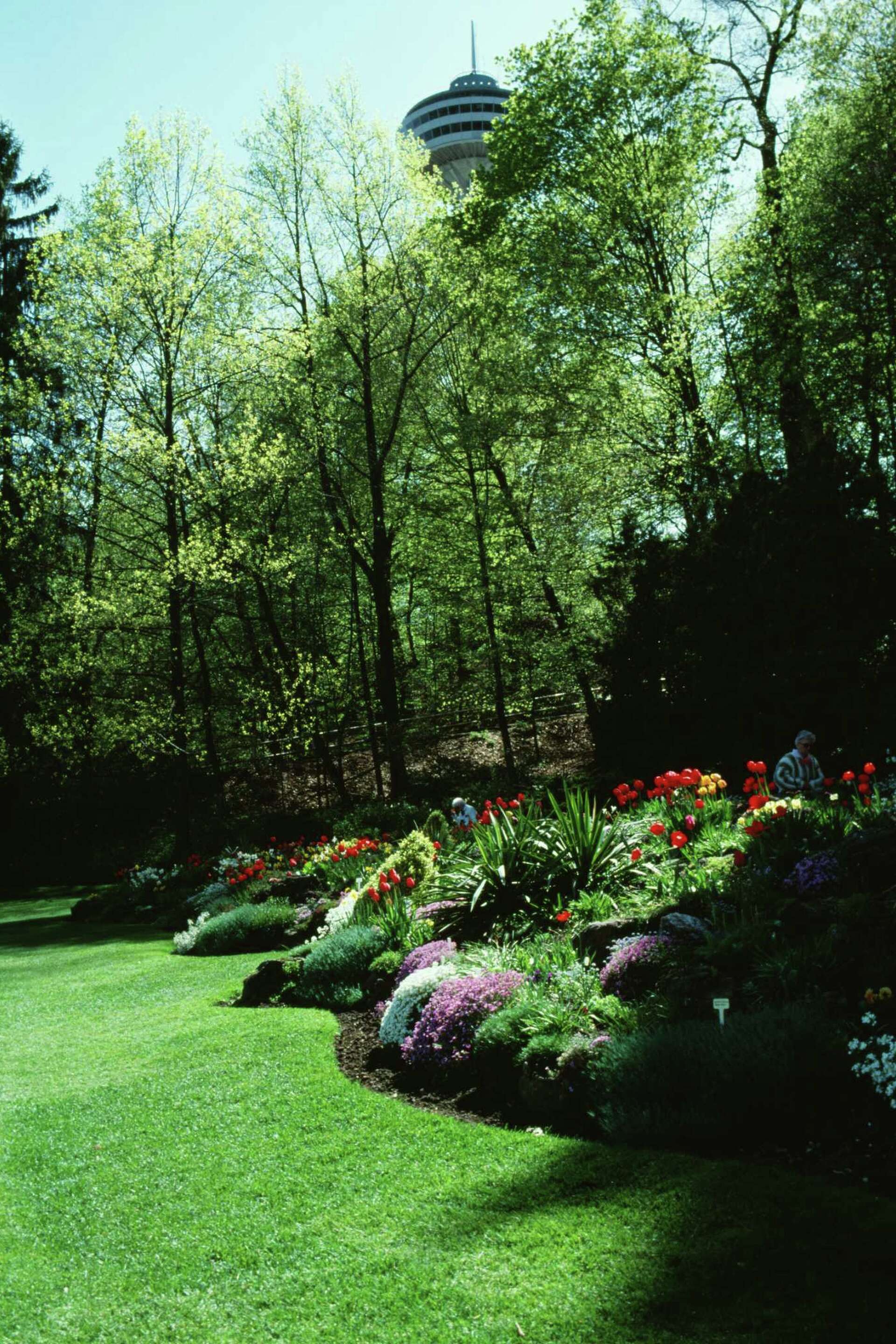 How to Landscape to Eliminate Weed Eating