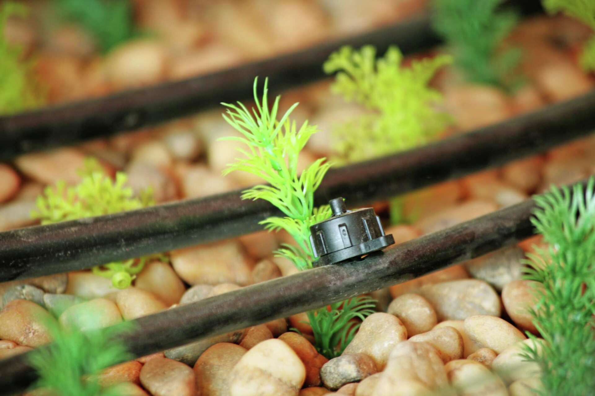 How Much Water Comes Through a Drip System?