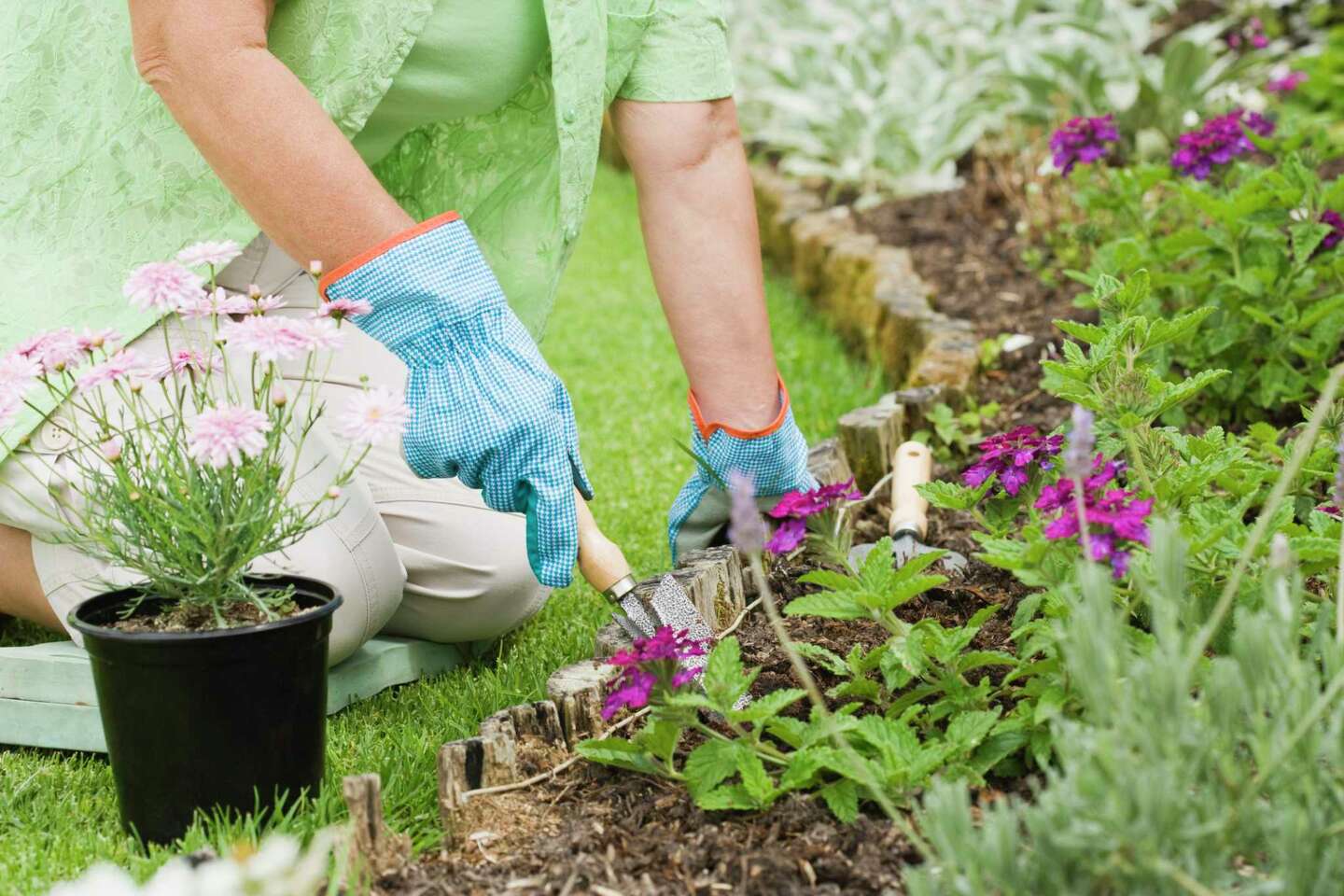 How to Improve Soil Drainage in Flower Beds