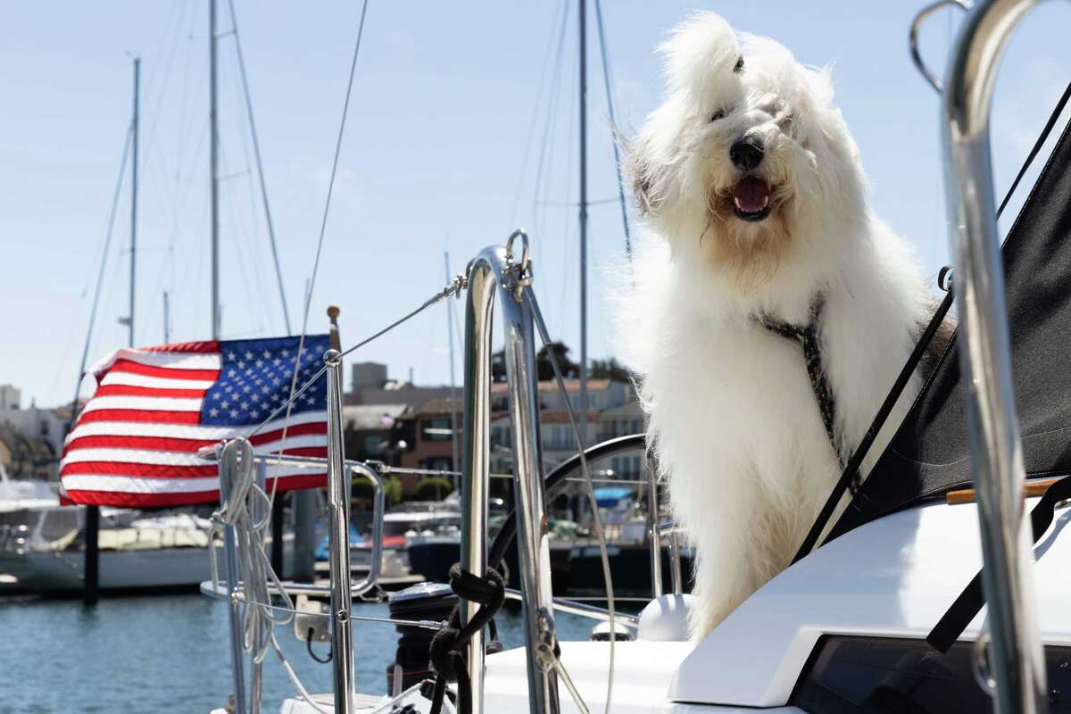 Smooth sailing for S.F. maritime tradition Opening Day on the Bay