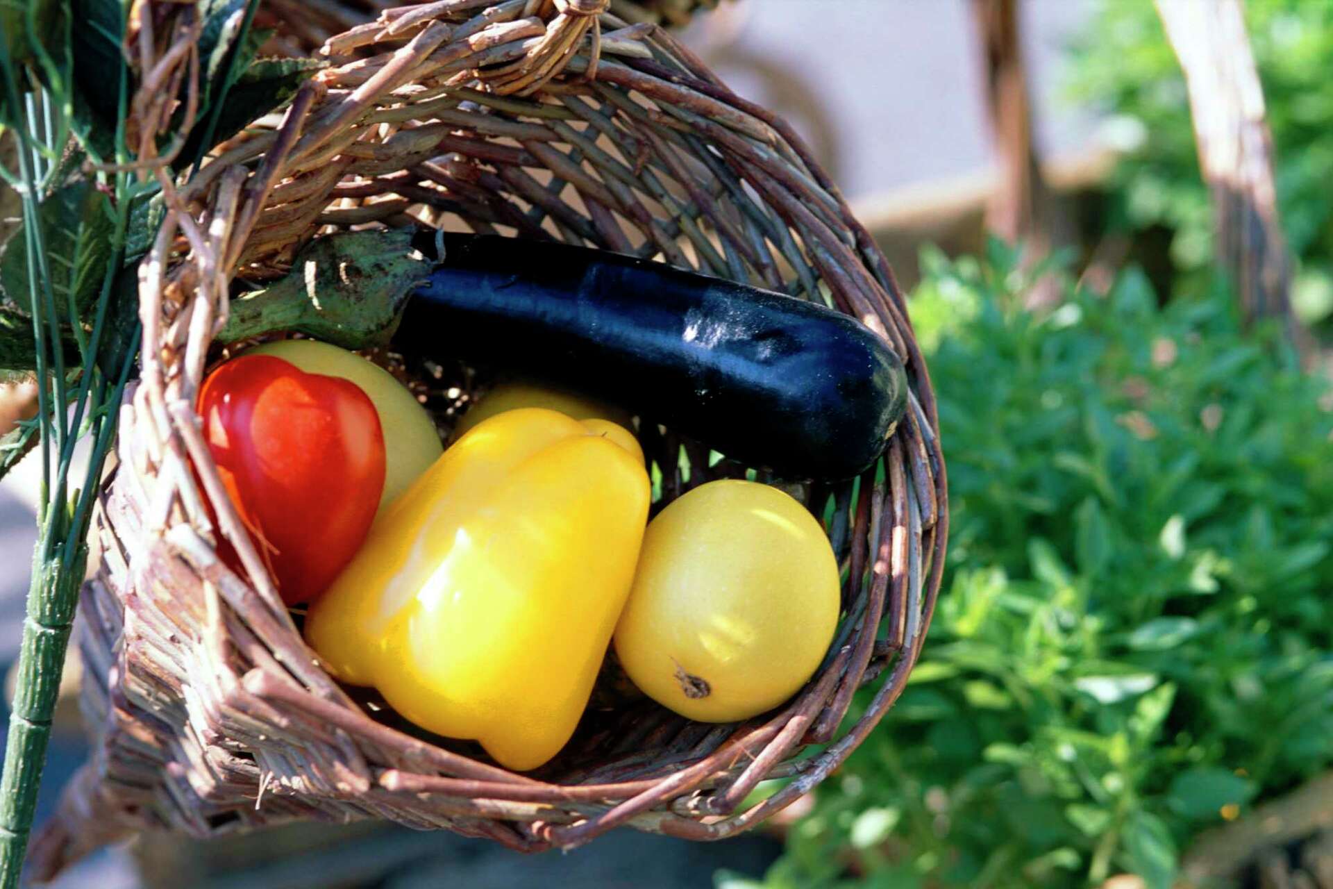 Does Rich Color in Vegetables Mean More Antioxidants?