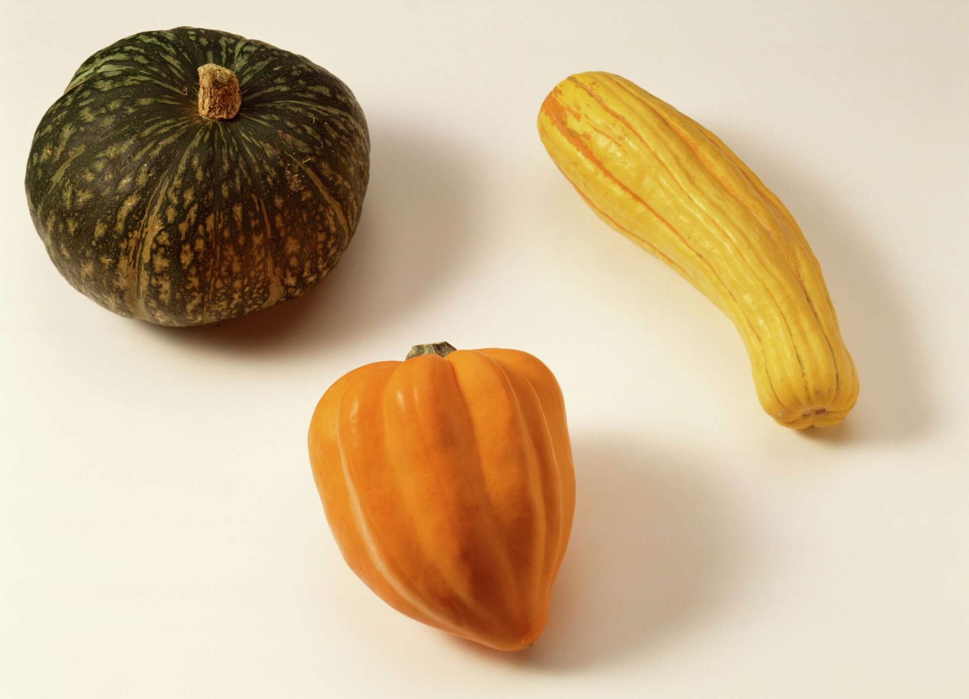 What Is the Difference Between Bush & Vine Squash Plants?