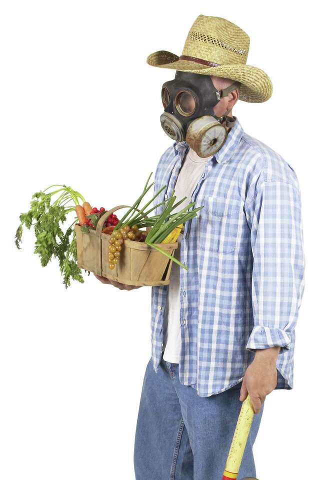 What Is the Difference Between Persistent & Non-Persistent Pesticides?