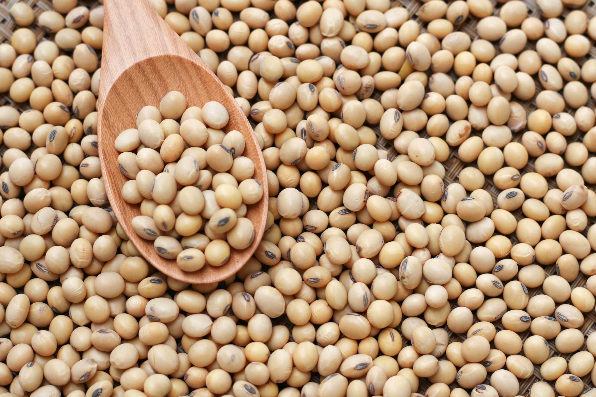 Is Soy Bad for Men's Health? Is Soy Bad for Men's Health?