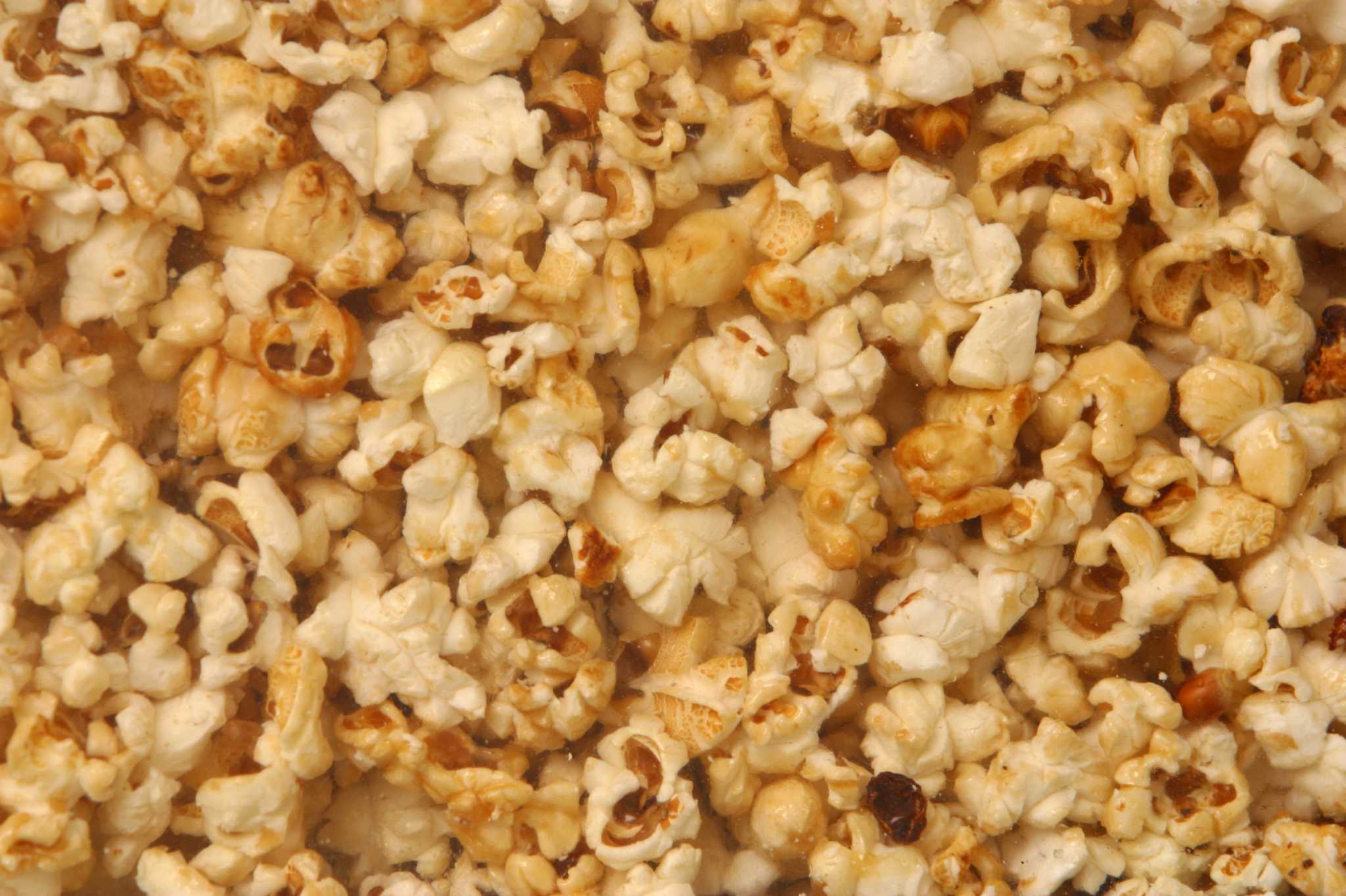 What Is the Difference Between a Snowflake Popcorn Kernel & a Mushroom ...