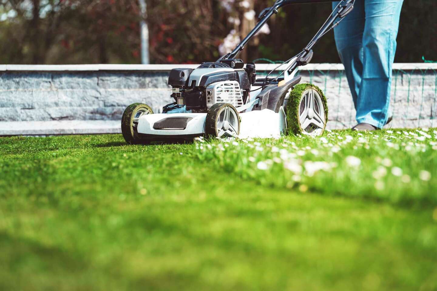What Is The Difference Between St Augustine And Floratam Grass