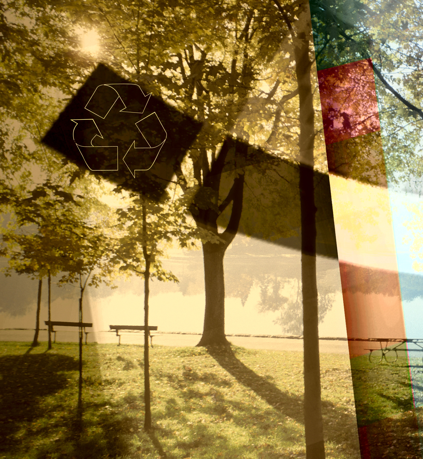 How to Recycle Rain Barrels