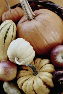 Will Different Types of Squash Cross Pollinate?