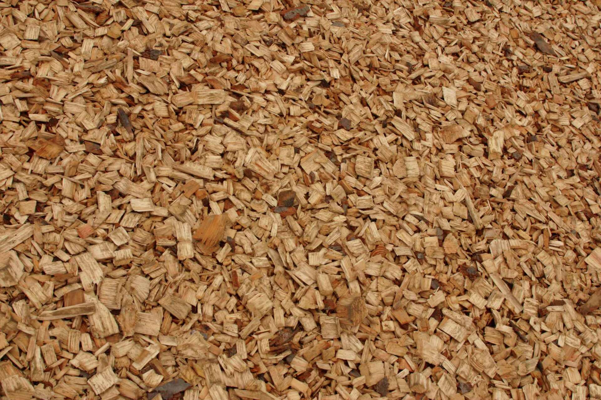The Different Types of Wood Chips & What They Are Used for