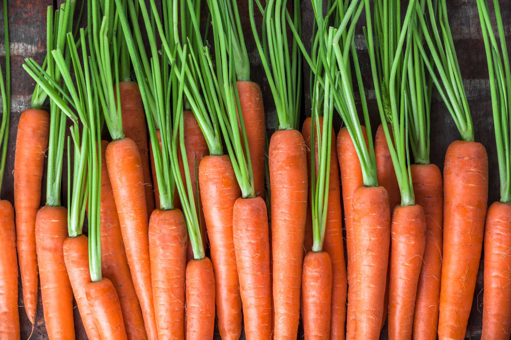 Ten Vegetables You Need in Your Kitchen