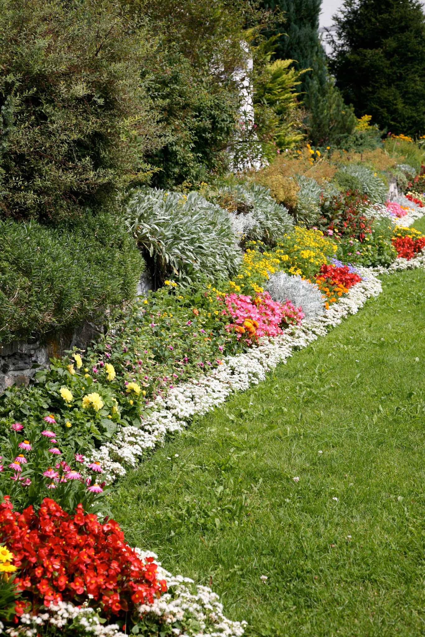 How to Dig a Trench Under a Tree for a Flower Bed