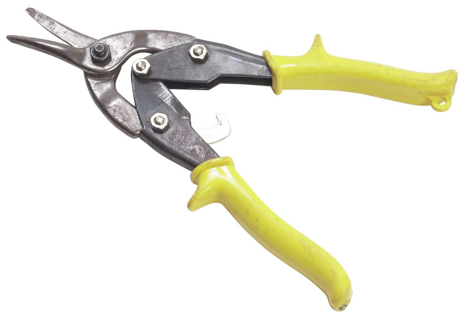 How to Propagate a Firecracker Plant