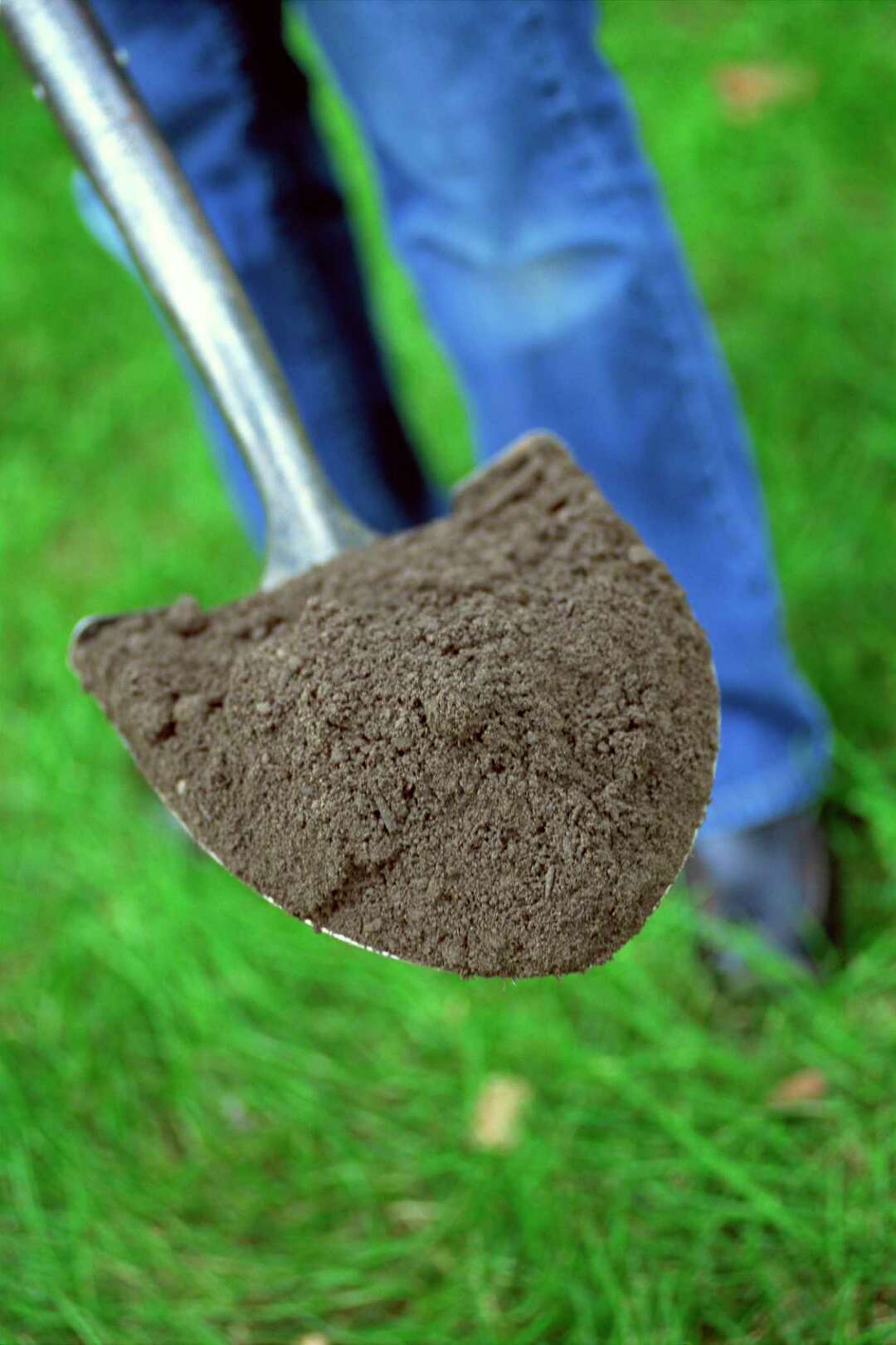 After Digging in My Yard, How Can I Fix the Grass?