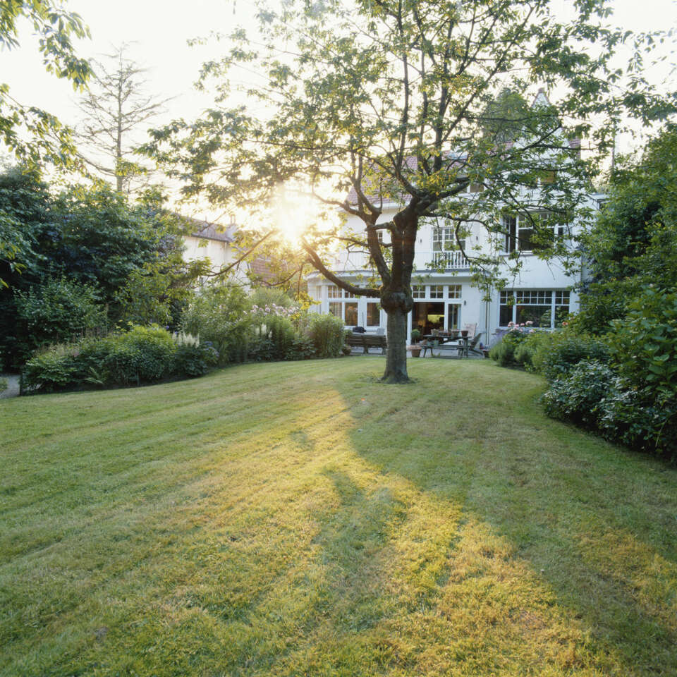 How to Draw a Layout for a Back Yard