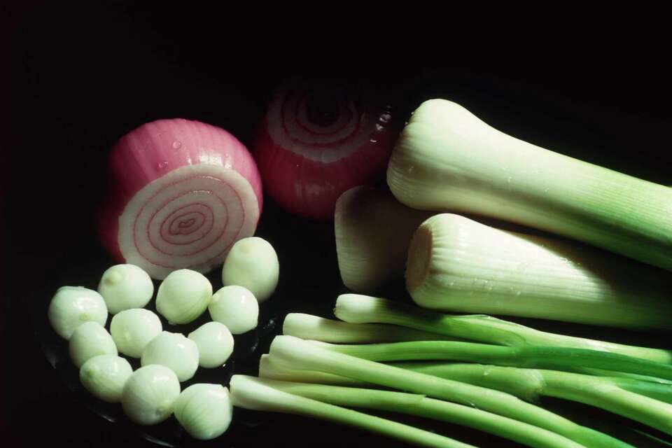 Are All Alliums Edible?