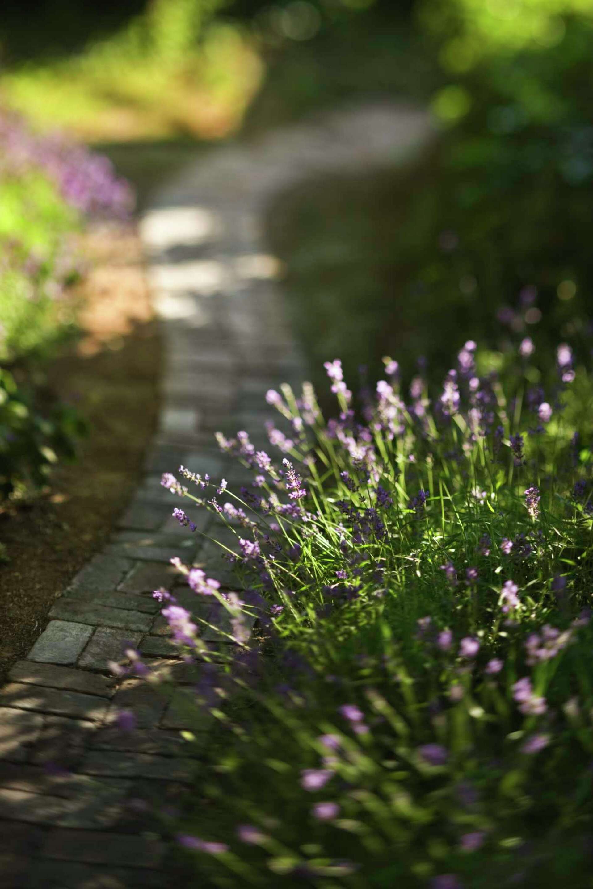 How to Edge Landscapes for Drainage