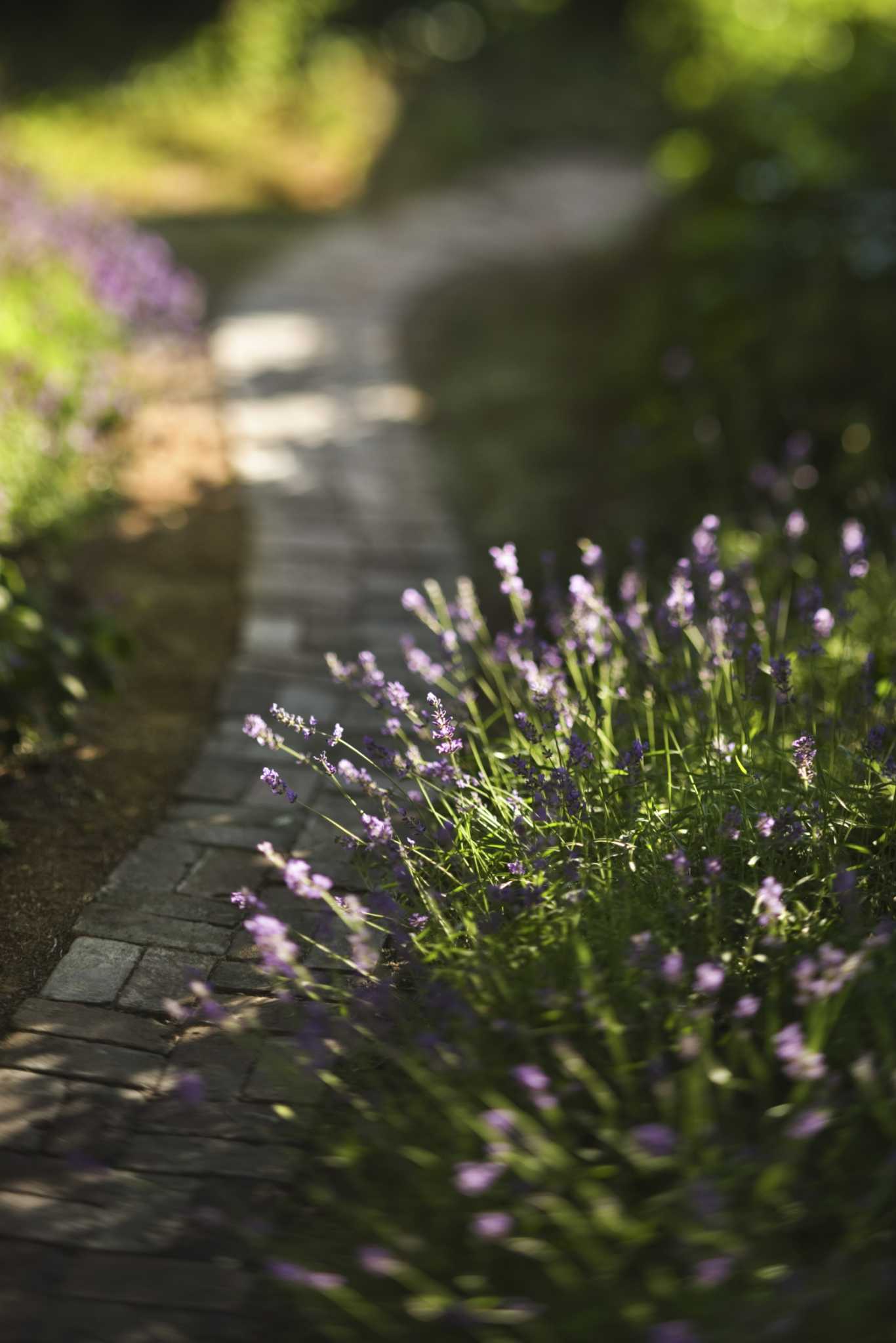 How to Edge Landscapes for Drainage