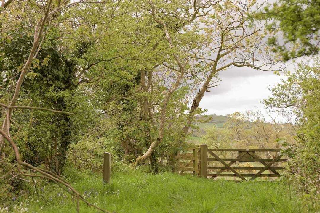 How to Find the Lot Size of a Property