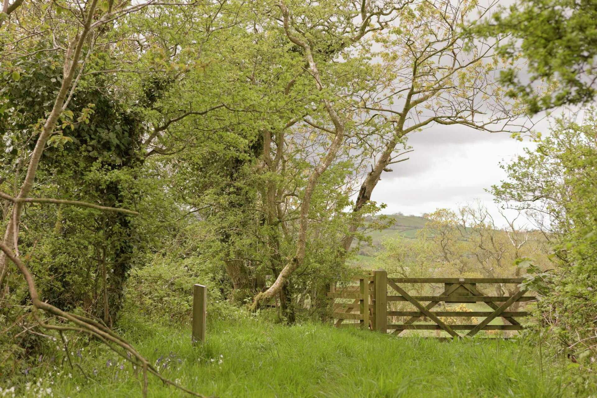 How to Find the Lot Size of a Property