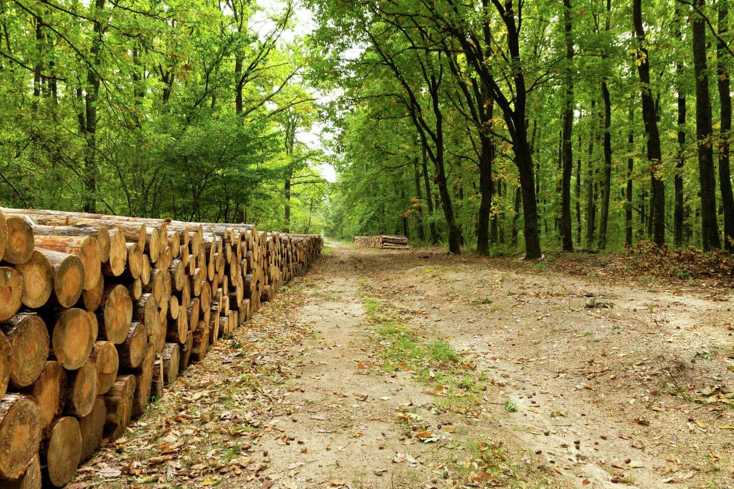 How to Anchor Landscape Lumber