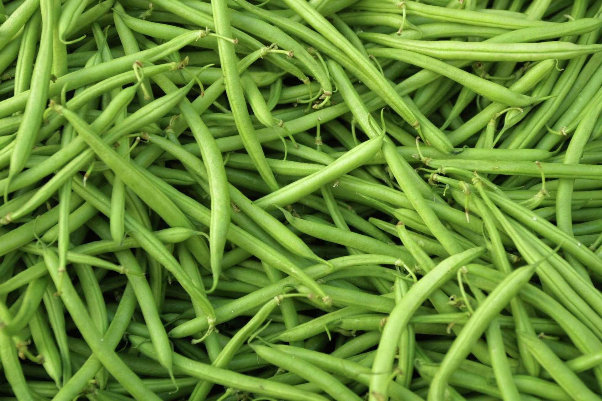 How to Plant Blue Lake Bush Green Beans