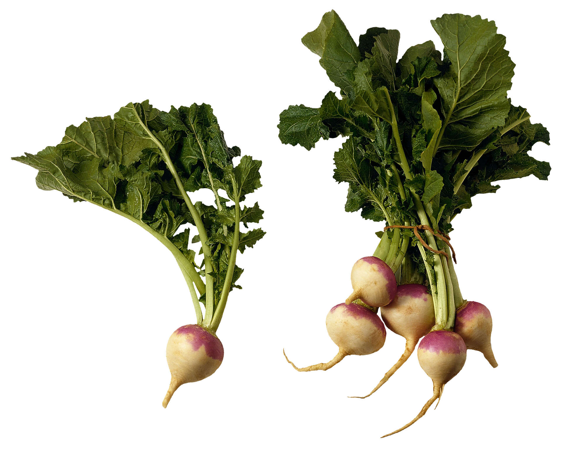 How to Eliminate Worms in Turnips