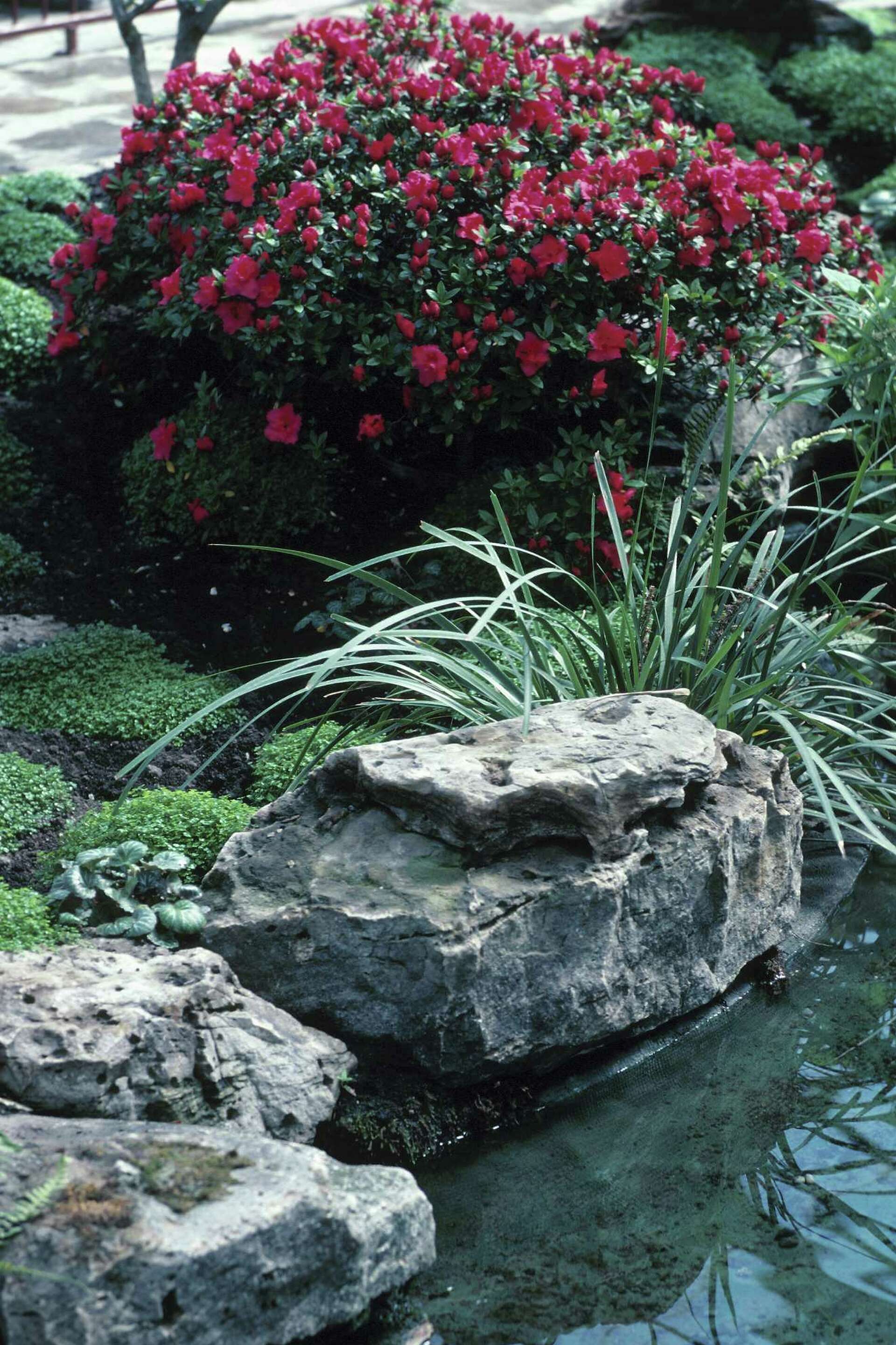 Instructions for Building a Raised Rock & Plant Mound