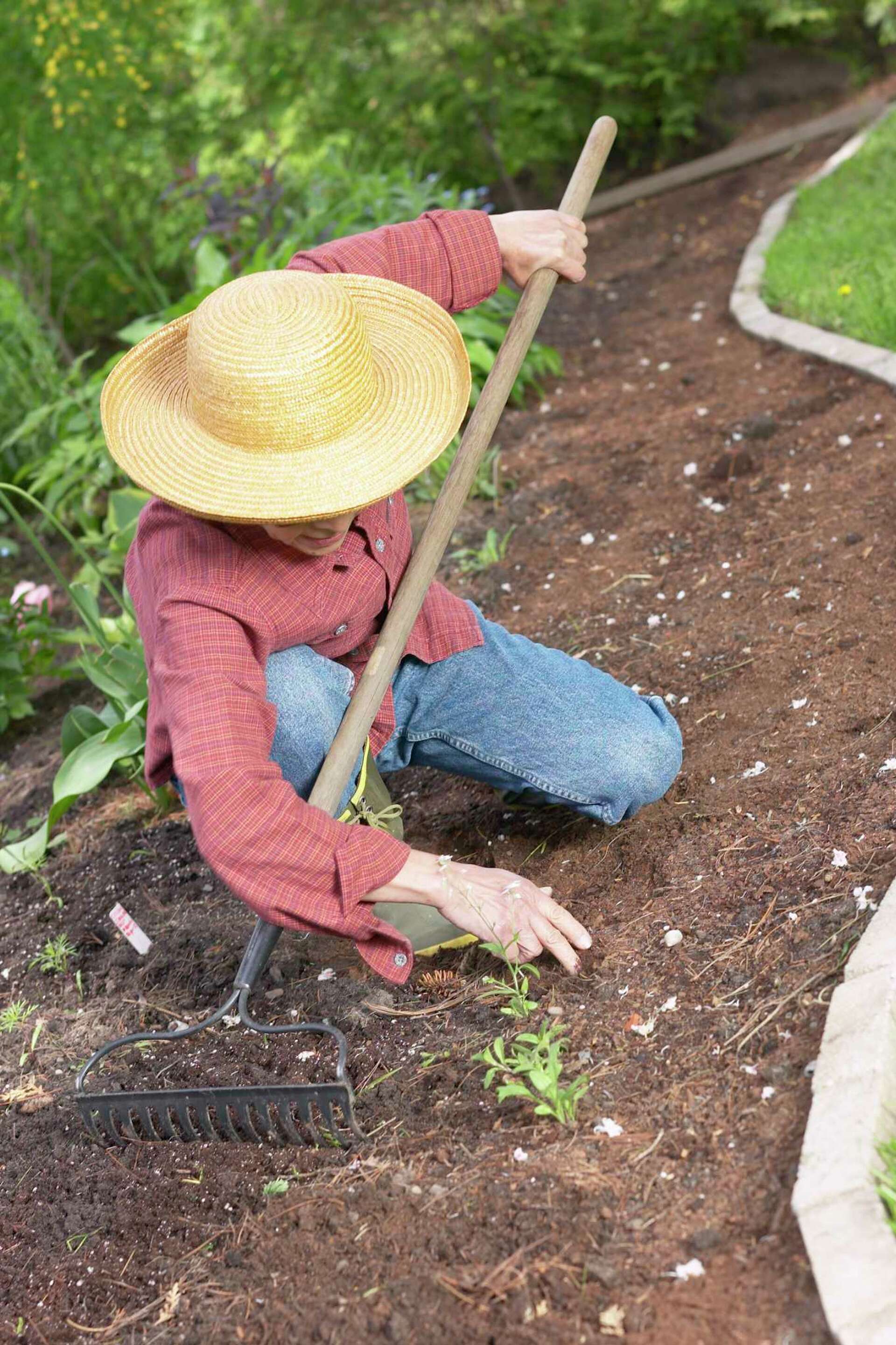 What Kind of Rake to Use for Grass Seed?