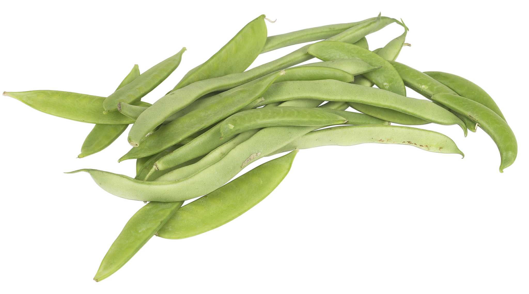 How do I Plant Pole Lima Bean Seeds?