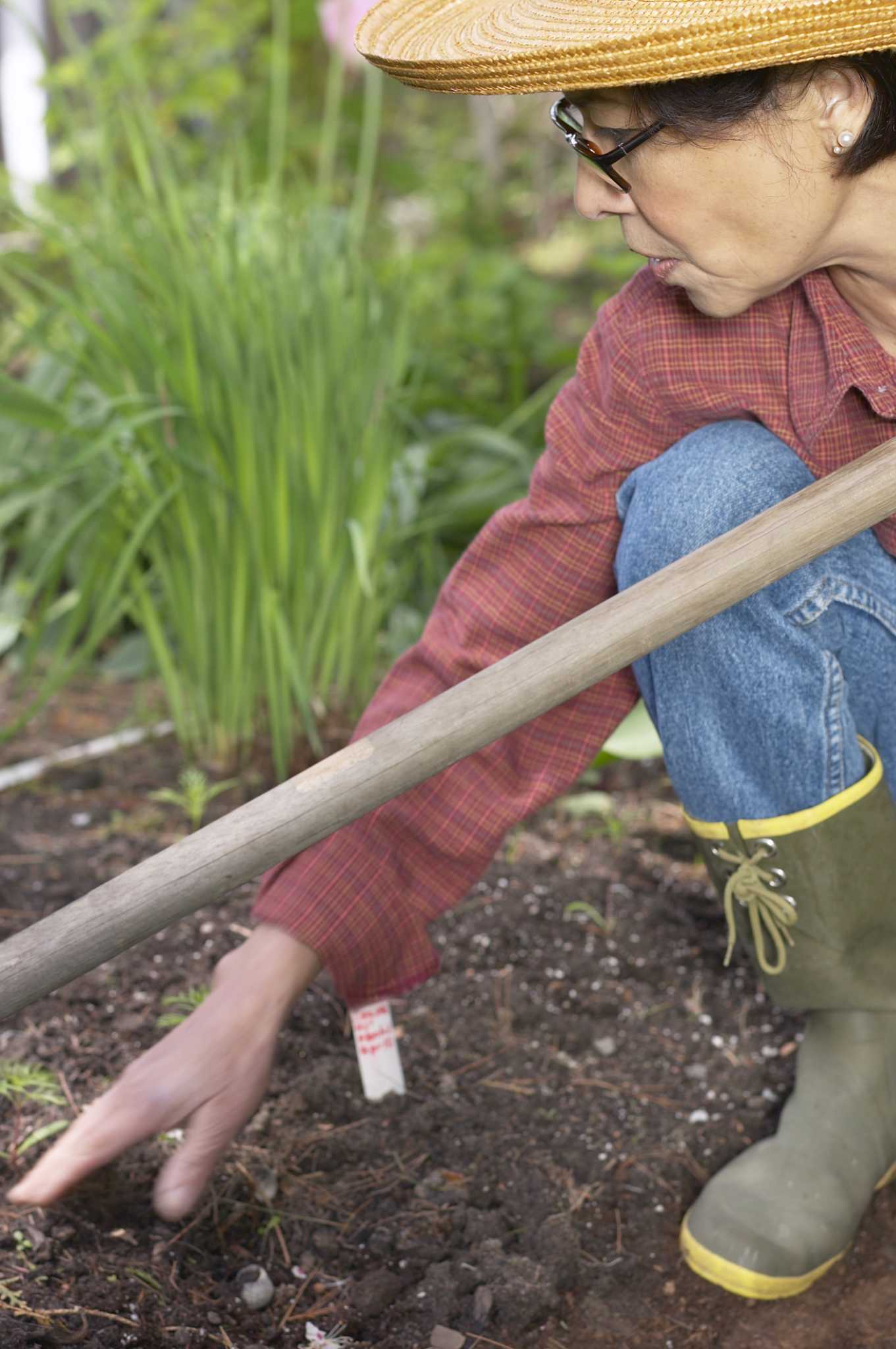 Epsom Salt And PH Levels In Soil