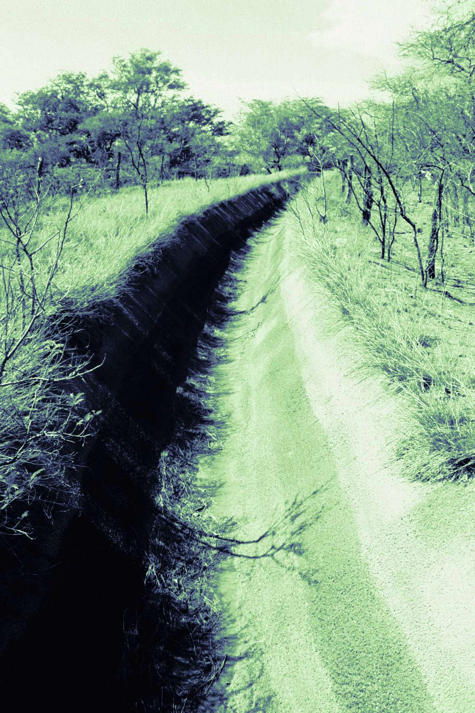 Landscaping Ideas: No-Mow Ditches