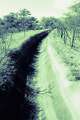 Landscaping Ideas: No-Mow Ditches