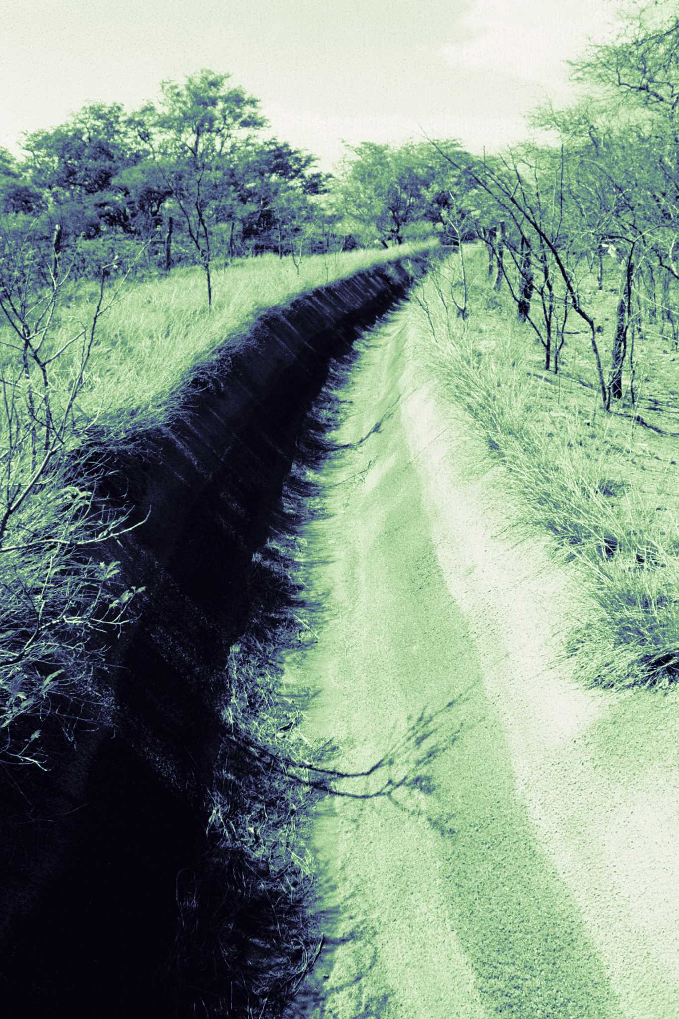 Do It Yourself Landscape Trench