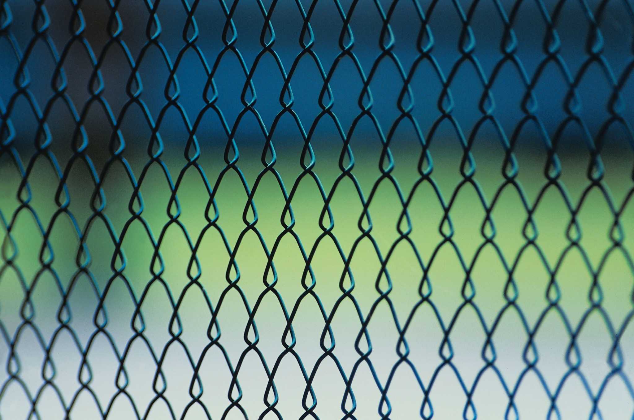 Ideas to Block Off Part of a Yard for Dogs