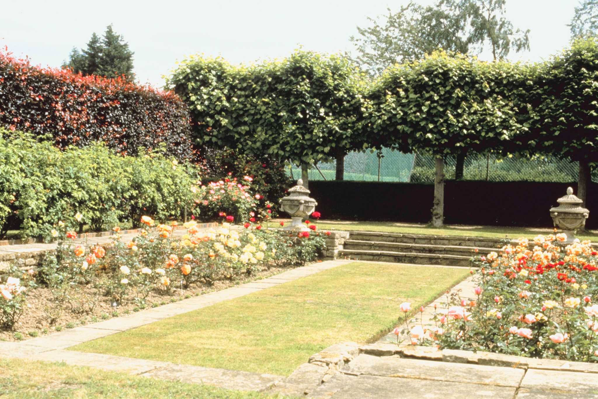 How to Apply River Stone Around Rose Bushes