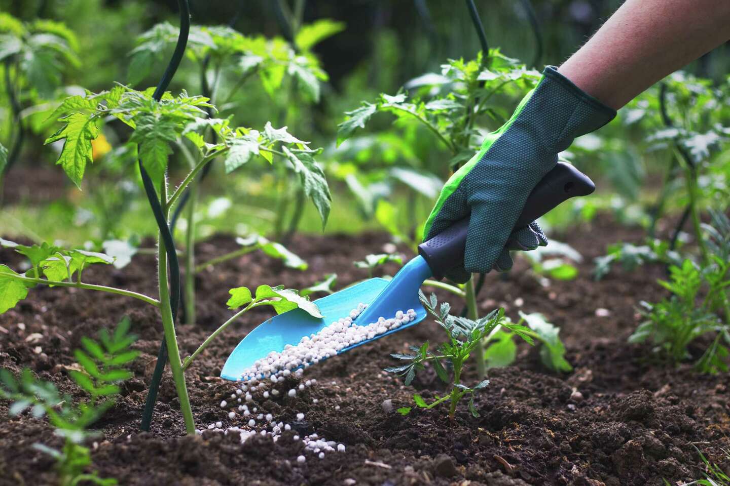 What Are the Causes of Fertilizer Runoff?