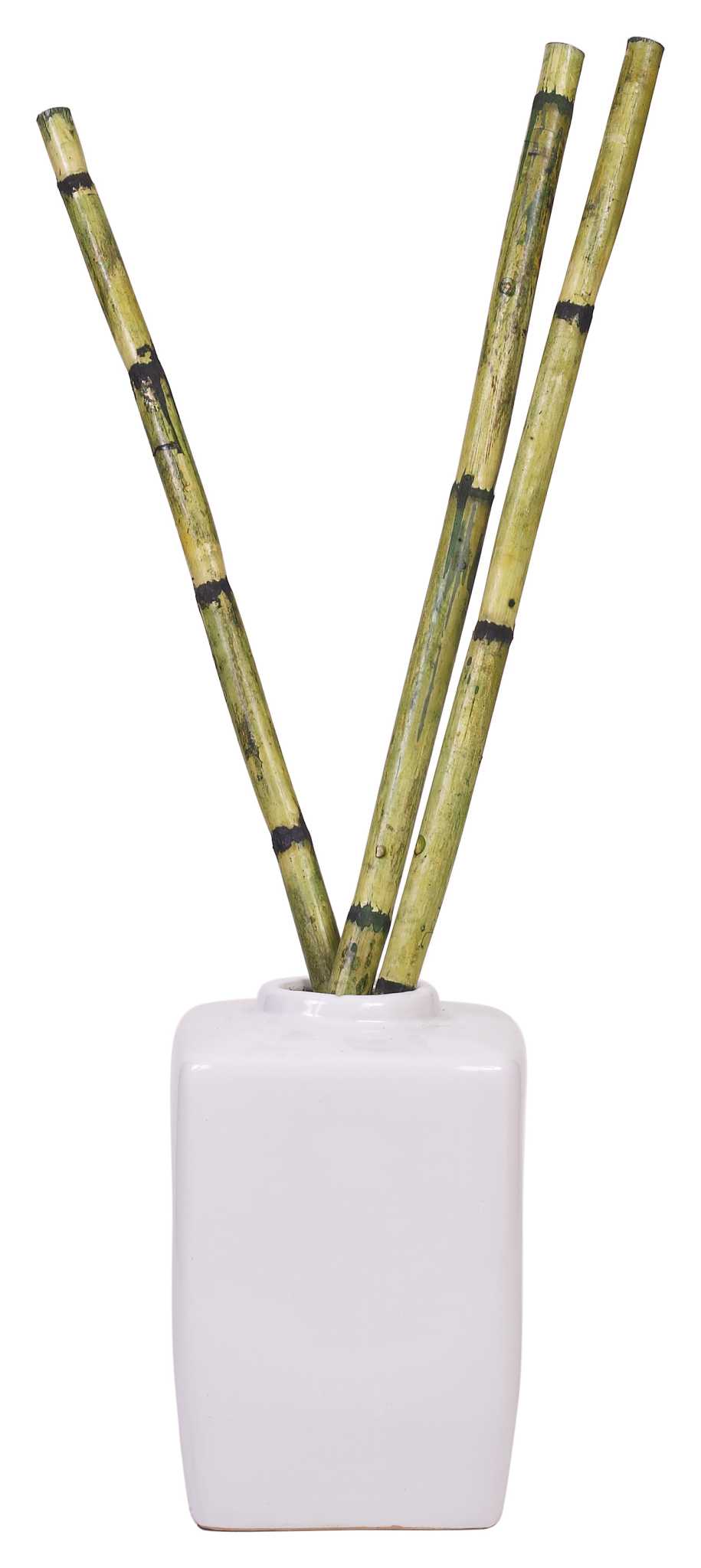 How to Arrange Large Bamboo Rods in a Floor Vase