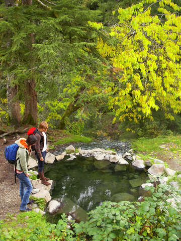Can I Make a Natural Pond Without a Liner?