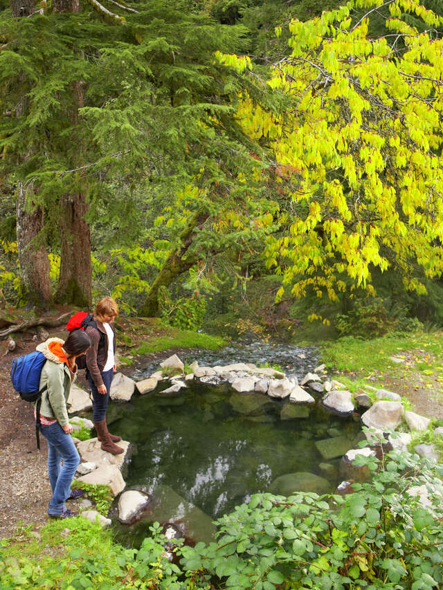 Can I Make a Natural Pond Without a Liner?