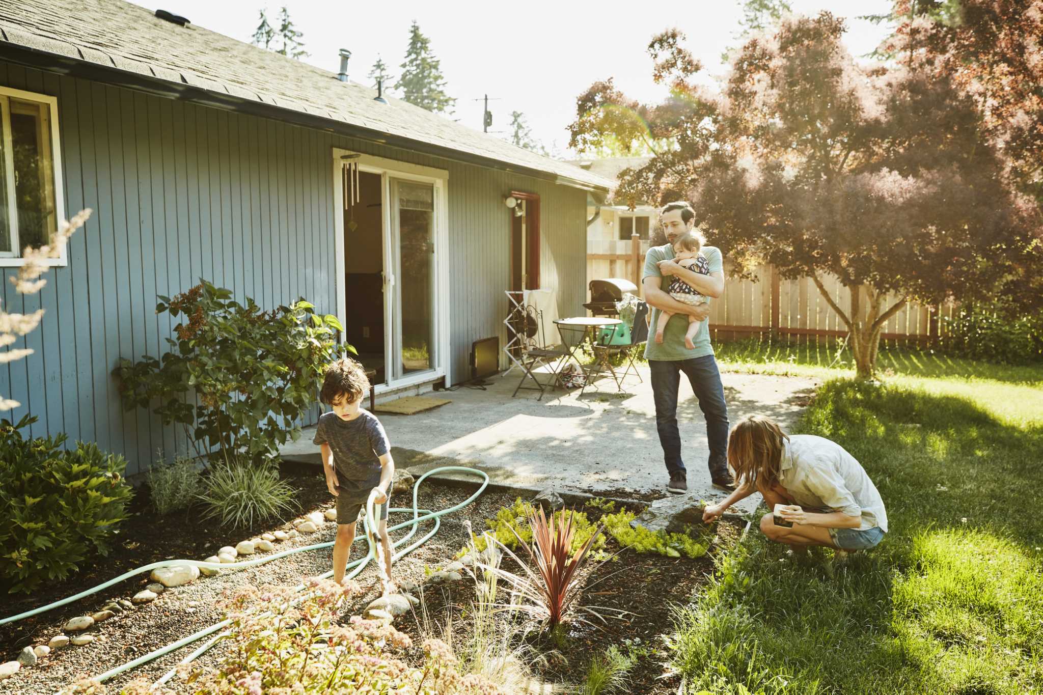 The Fastest Way to Kill Fleas in Your Yard Permanently