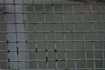 How to Lay Gopher Netting