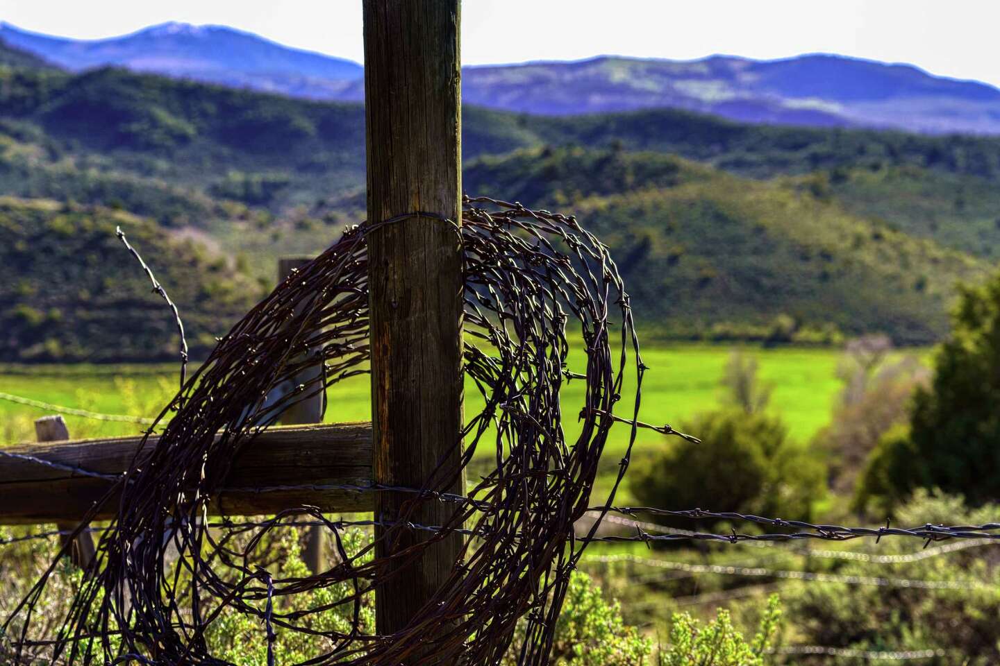 The Average Dimensions of a Ranch-Style Home