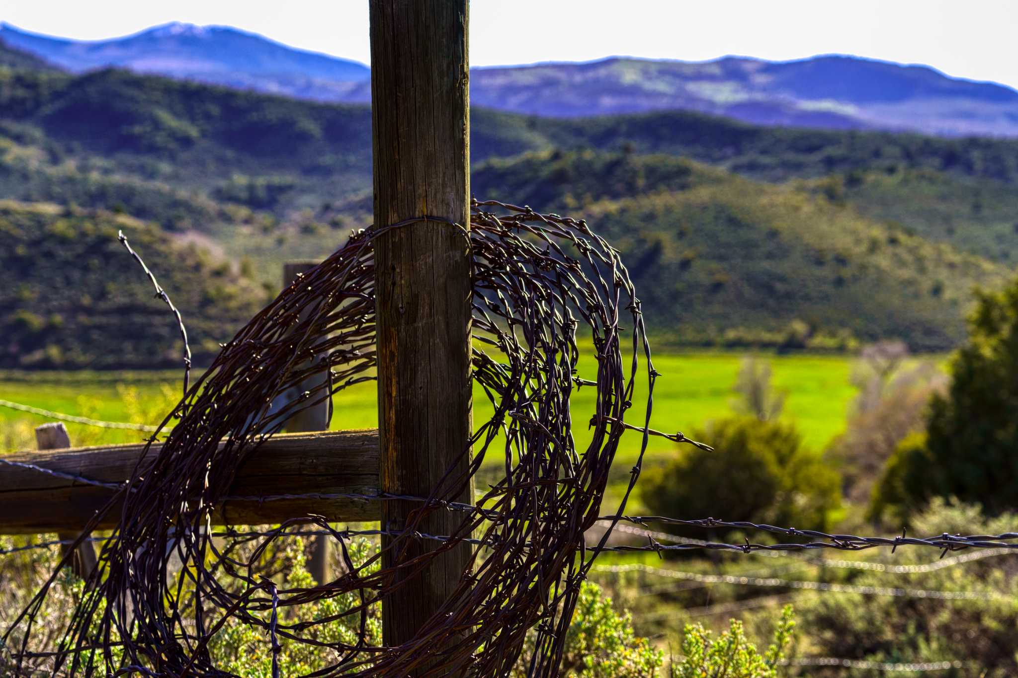 The Average Dimensions of a Ranch-Style Home