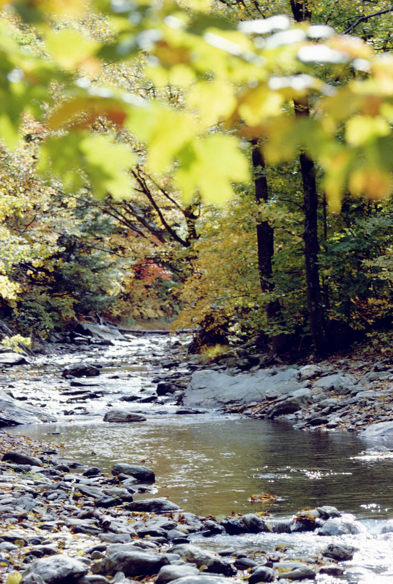 How to Fence Over Water