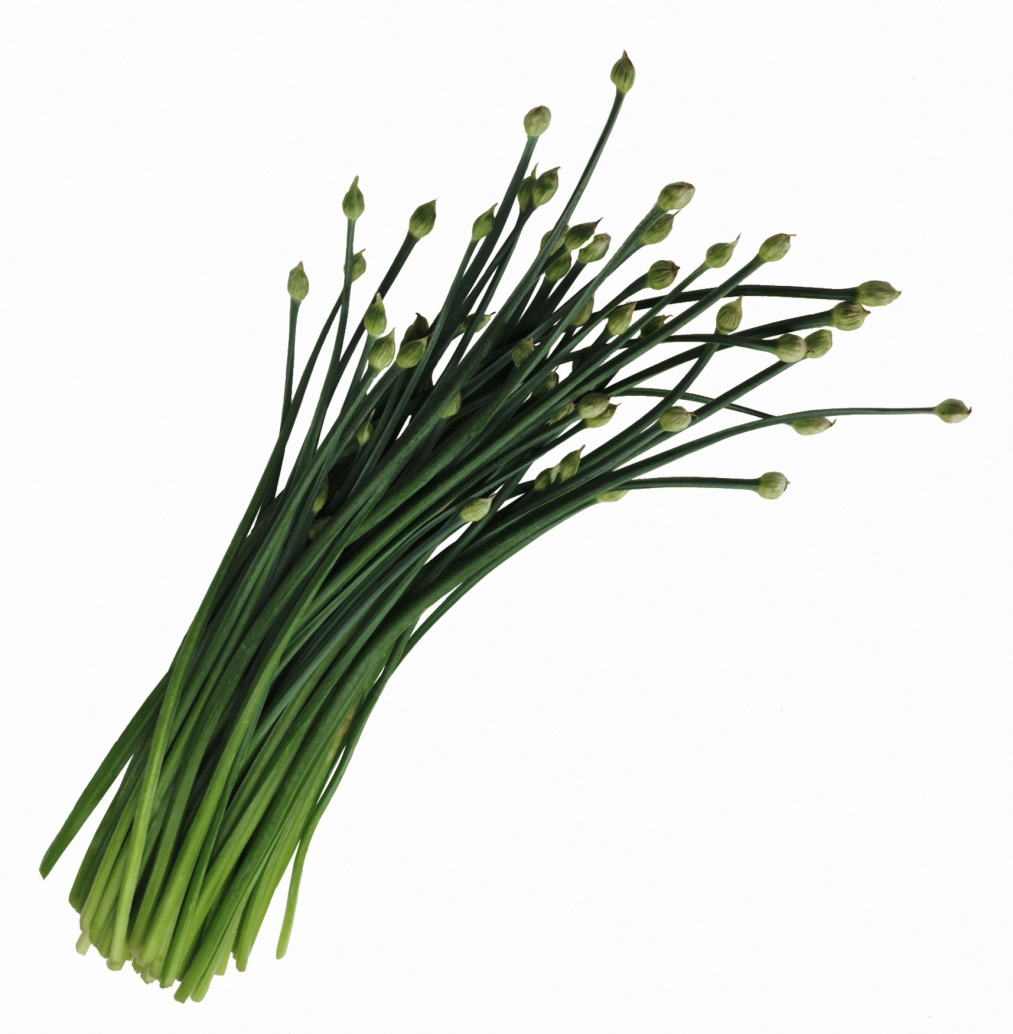 How to Fertilize Chives