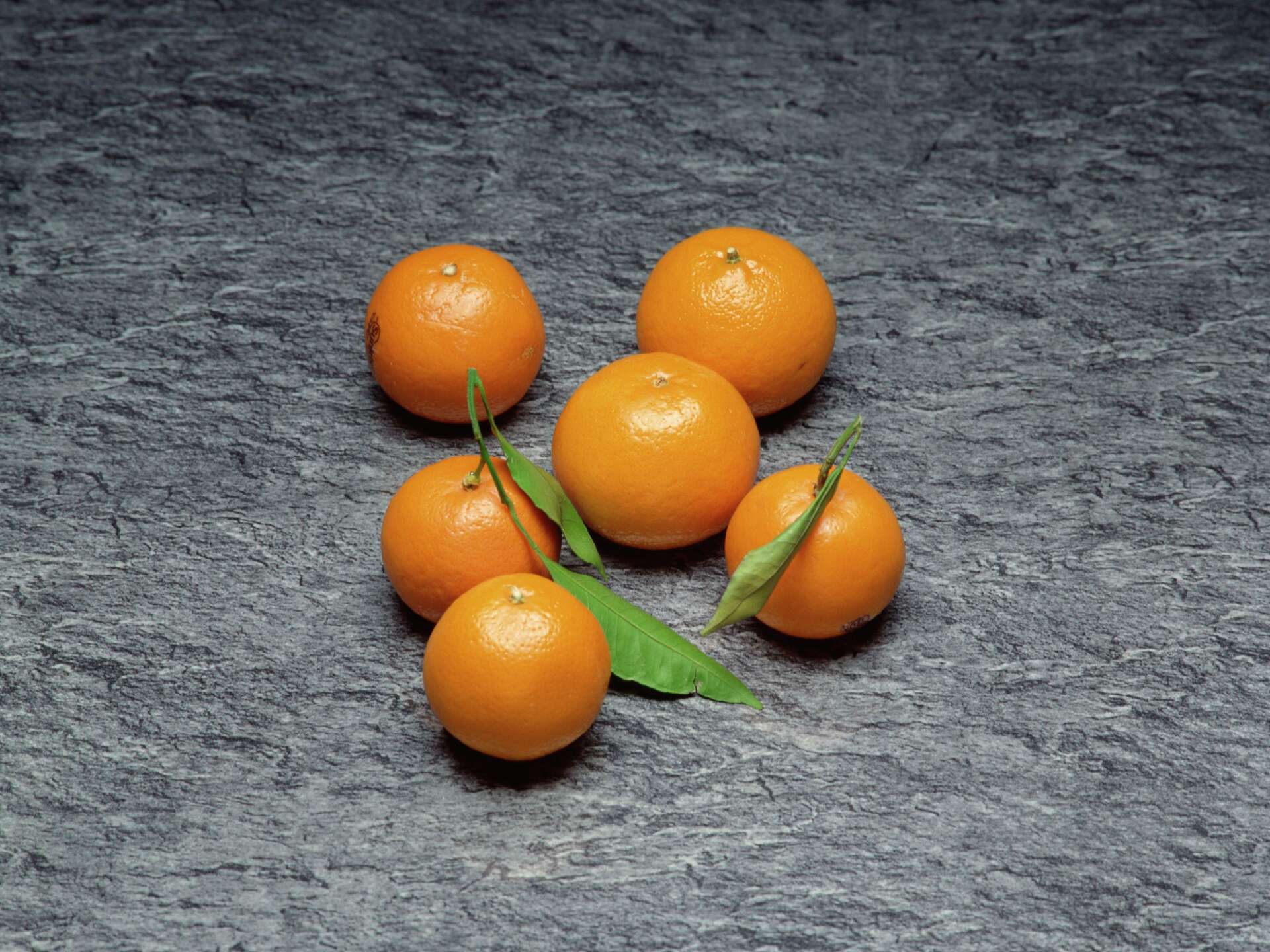 Orange Trees That Grow in Cold Climates