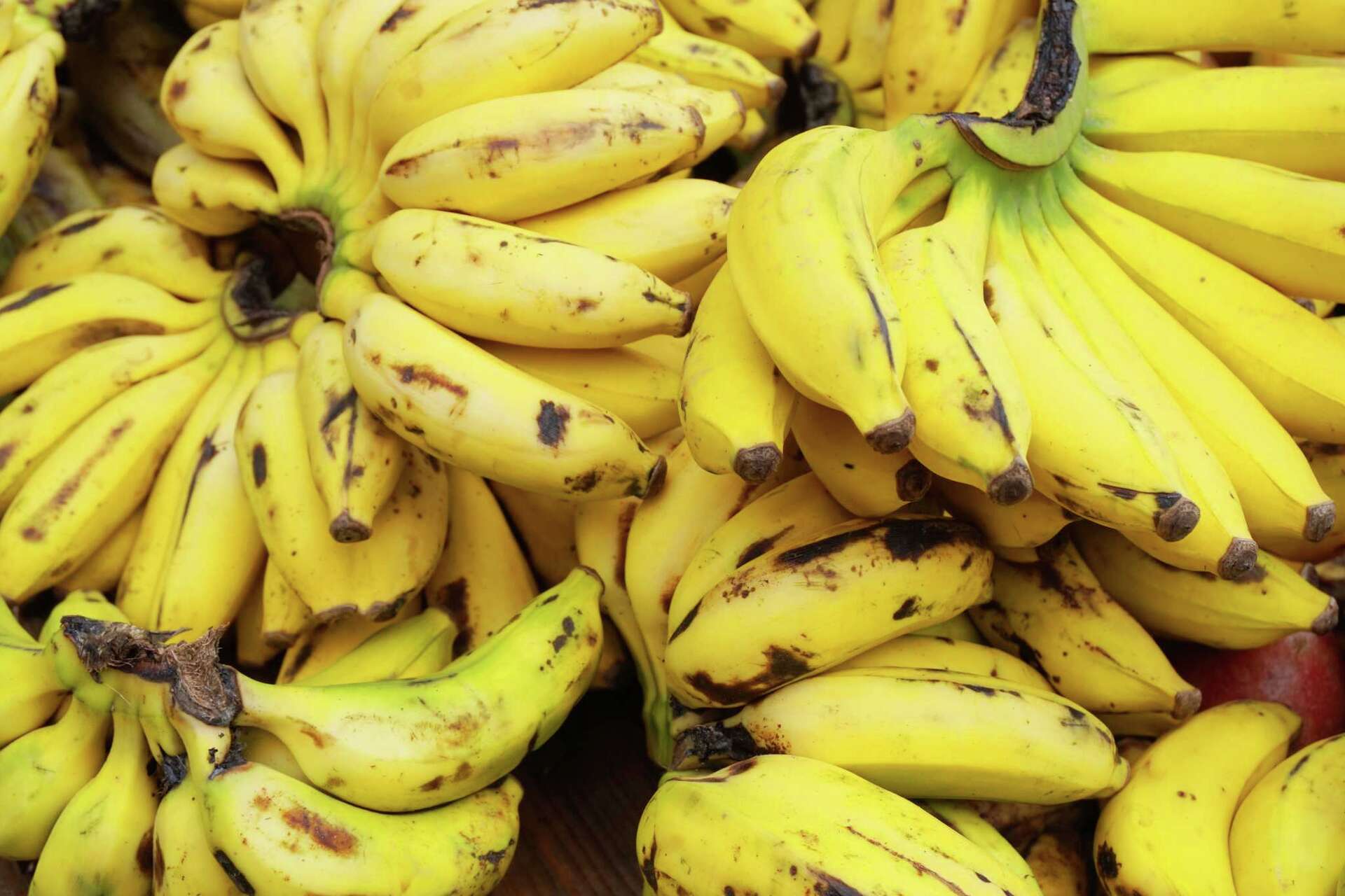 How to Know When Bananas on a Tree Are Ripe