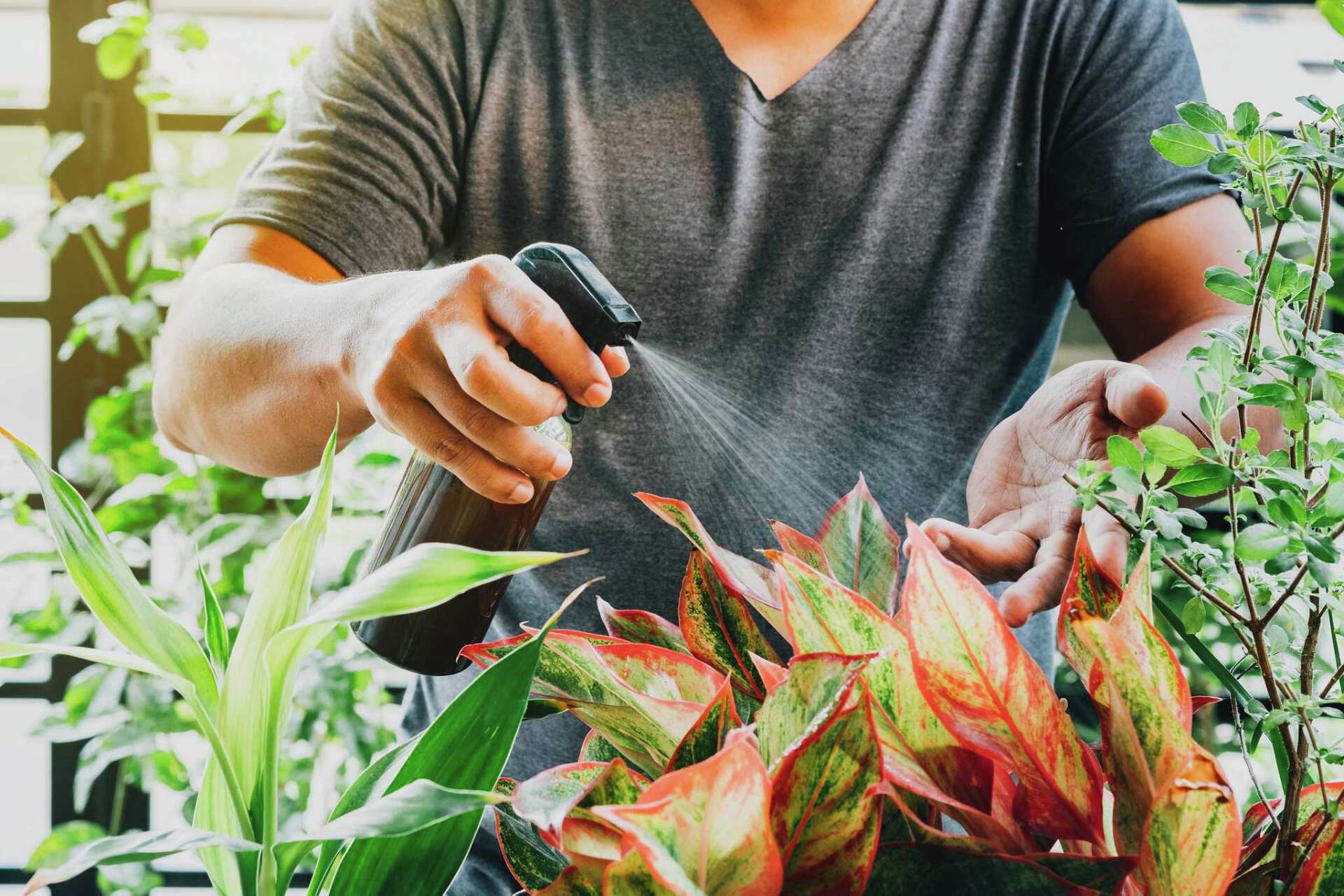 The Best Fertilizer to Grow Faster