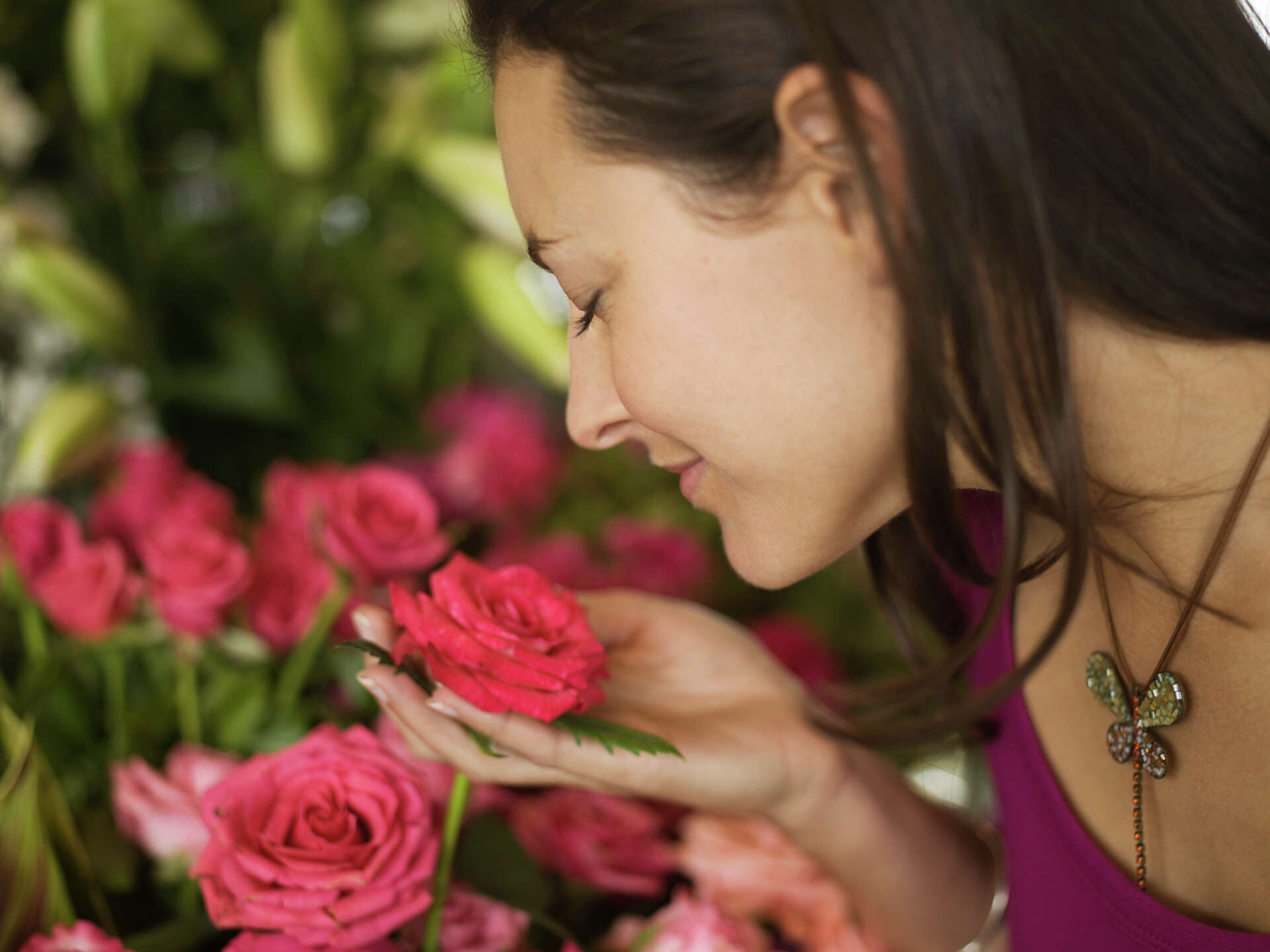 Problems With Over-Fertilizing Roses