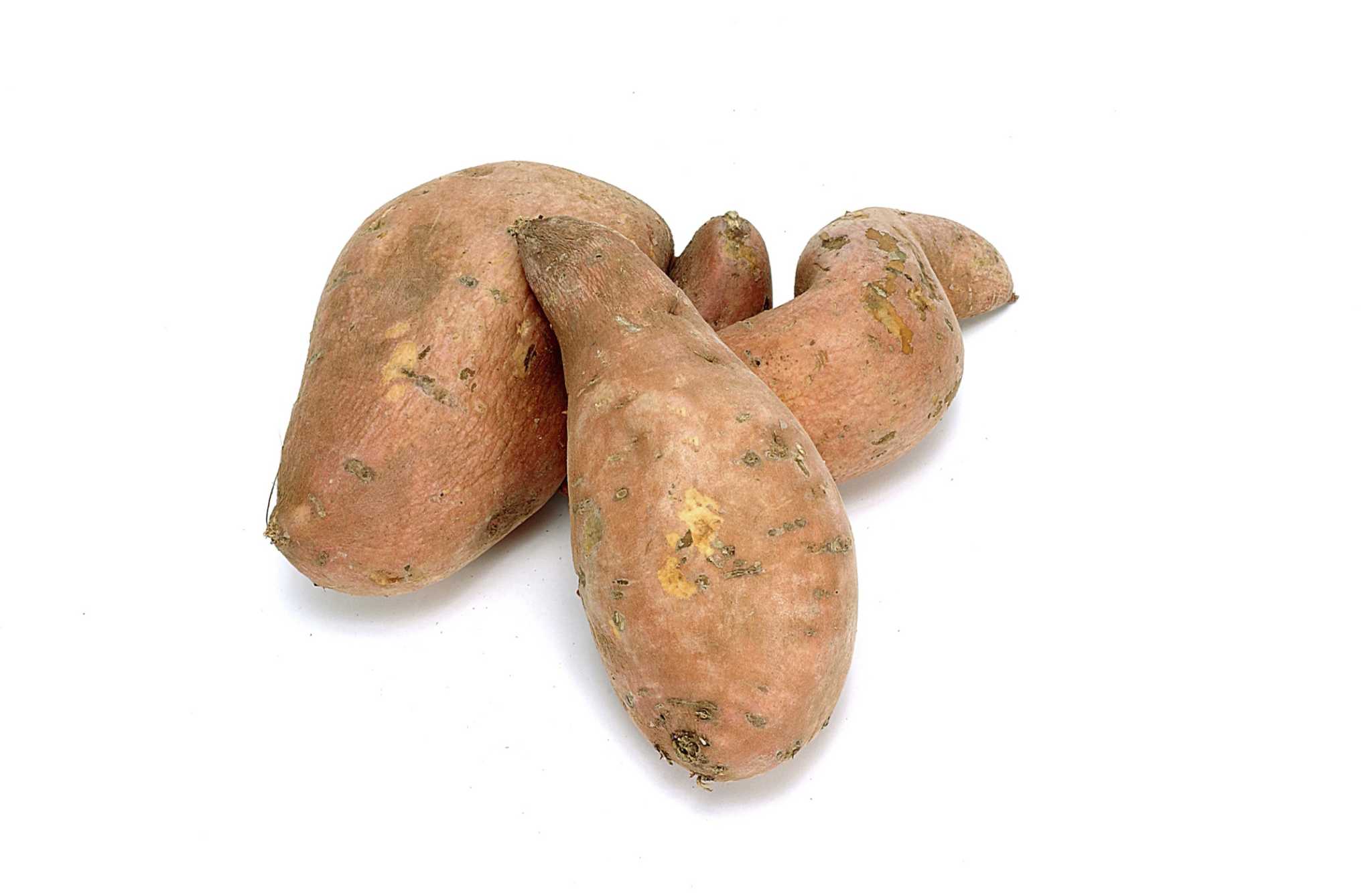 How to Root Sweet Potato Slips